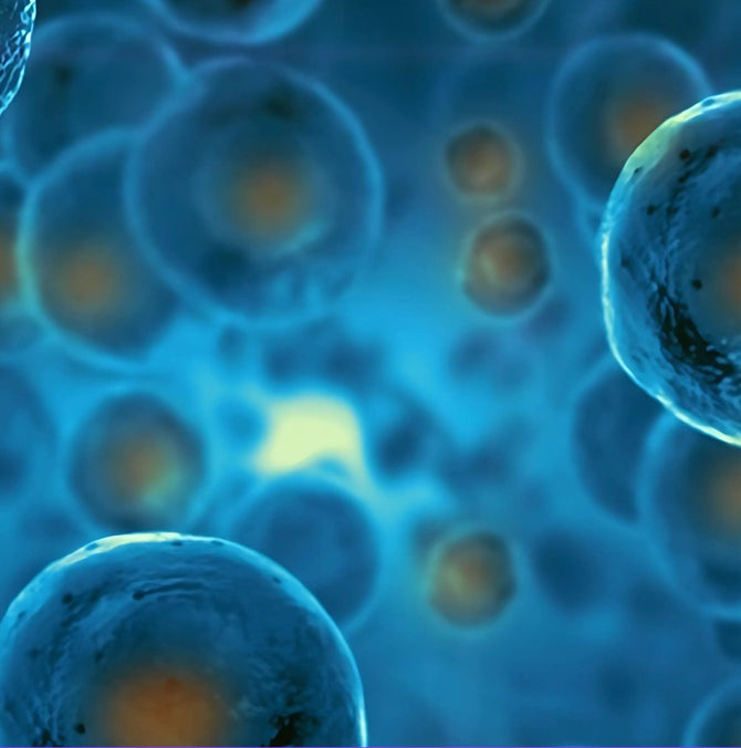 Bone Marrow Aspiration Prep - IV Infusion