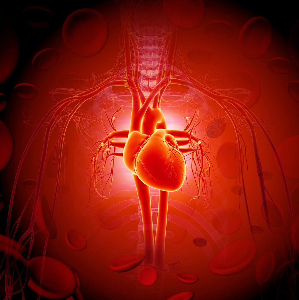 Homocysteine: Understanding High and Low Levels, Causes, and Health ...