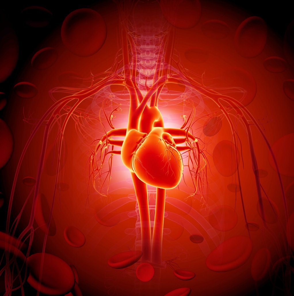Homocysteine: Understanding High and Low Levels, Causes, and Health ...
