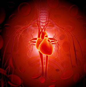 Homocysteine: Understanding High and Low Levels, Causes, and Health ...