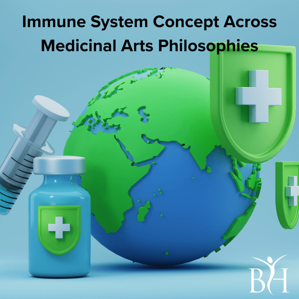 Immune System Concept Across Medicinal Arts Philosophies