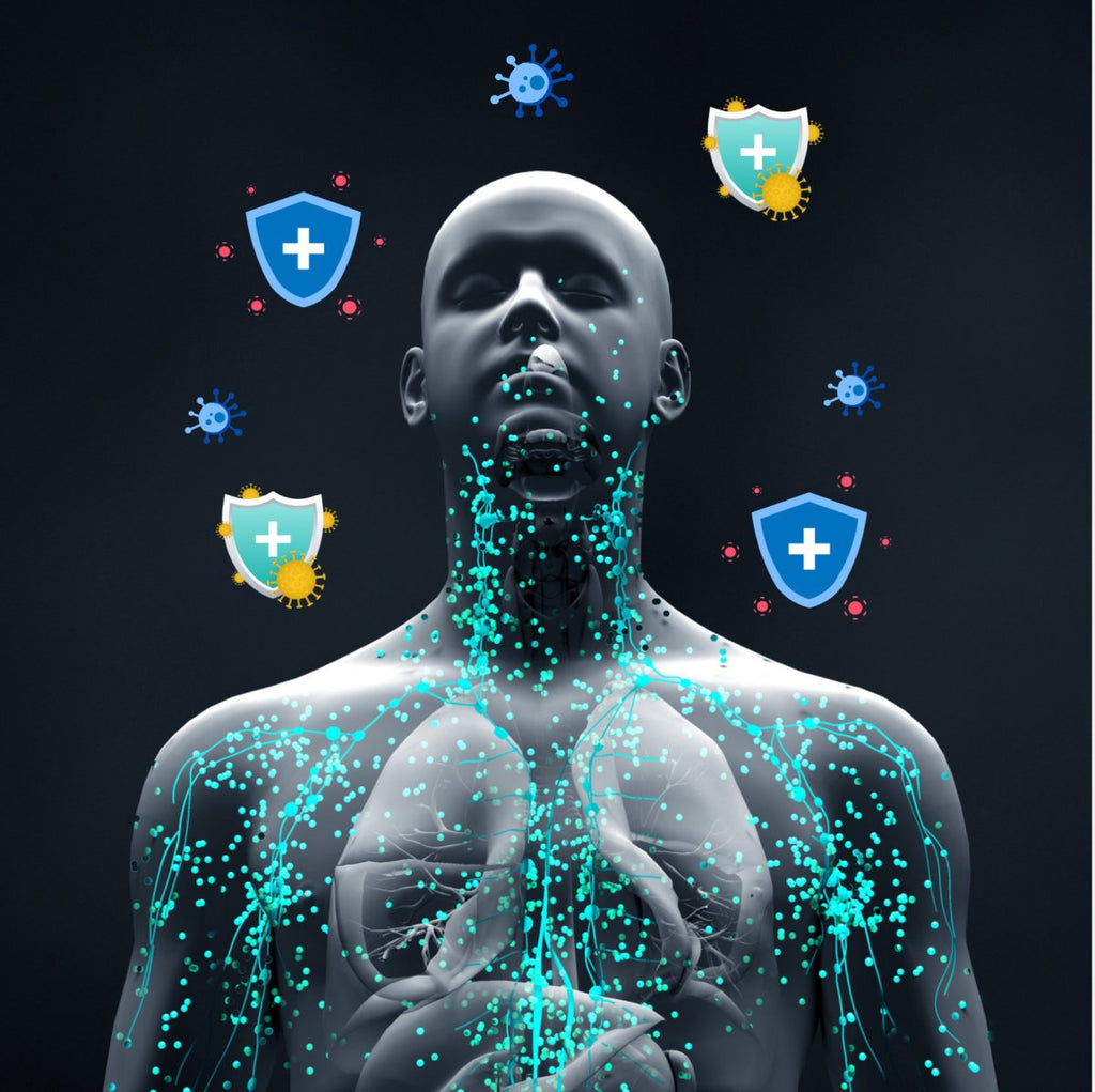 Immunity Boost Drip - IV Infusion