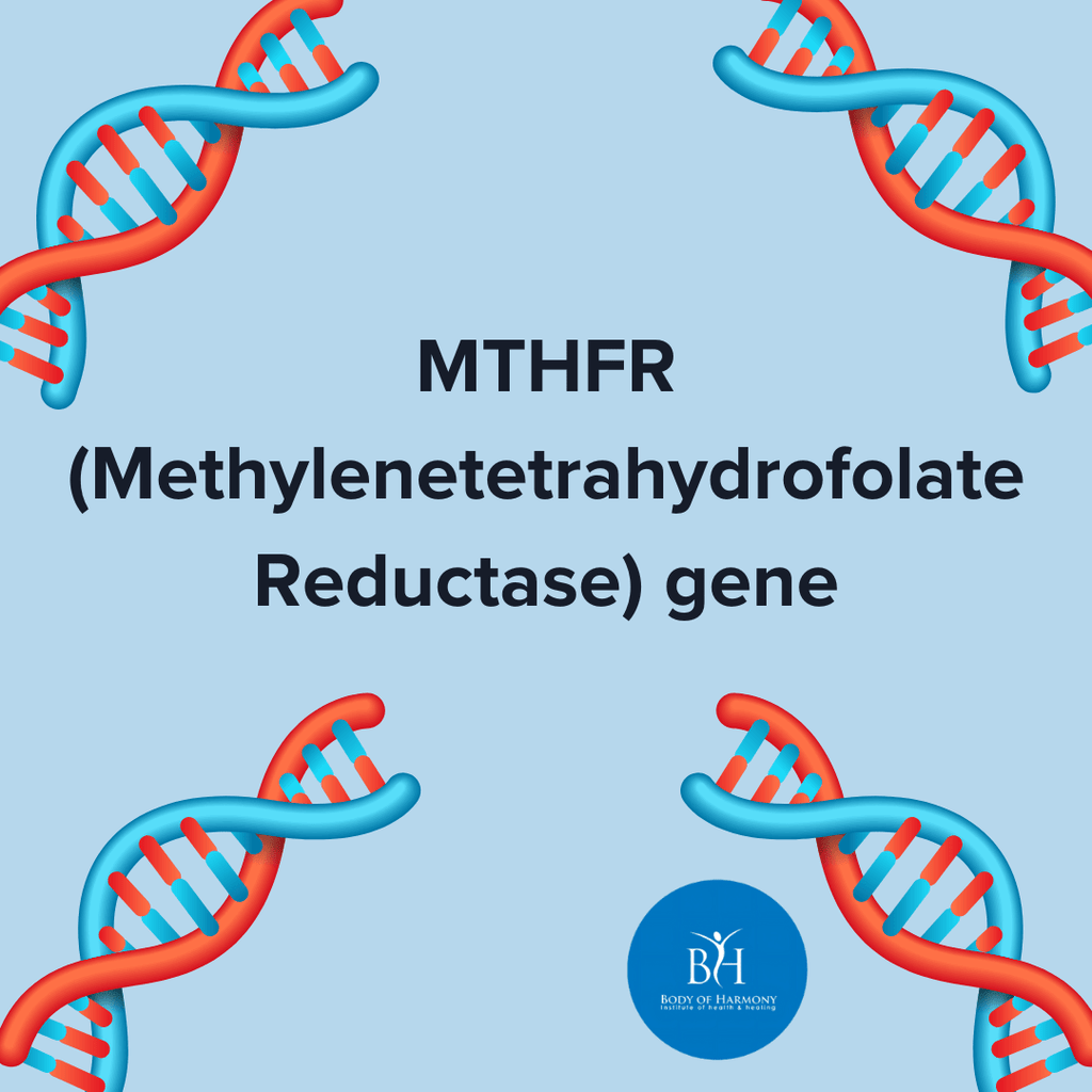 MTHFR Gene: Understanding Its Role, Effects, and Natural Treatment ...